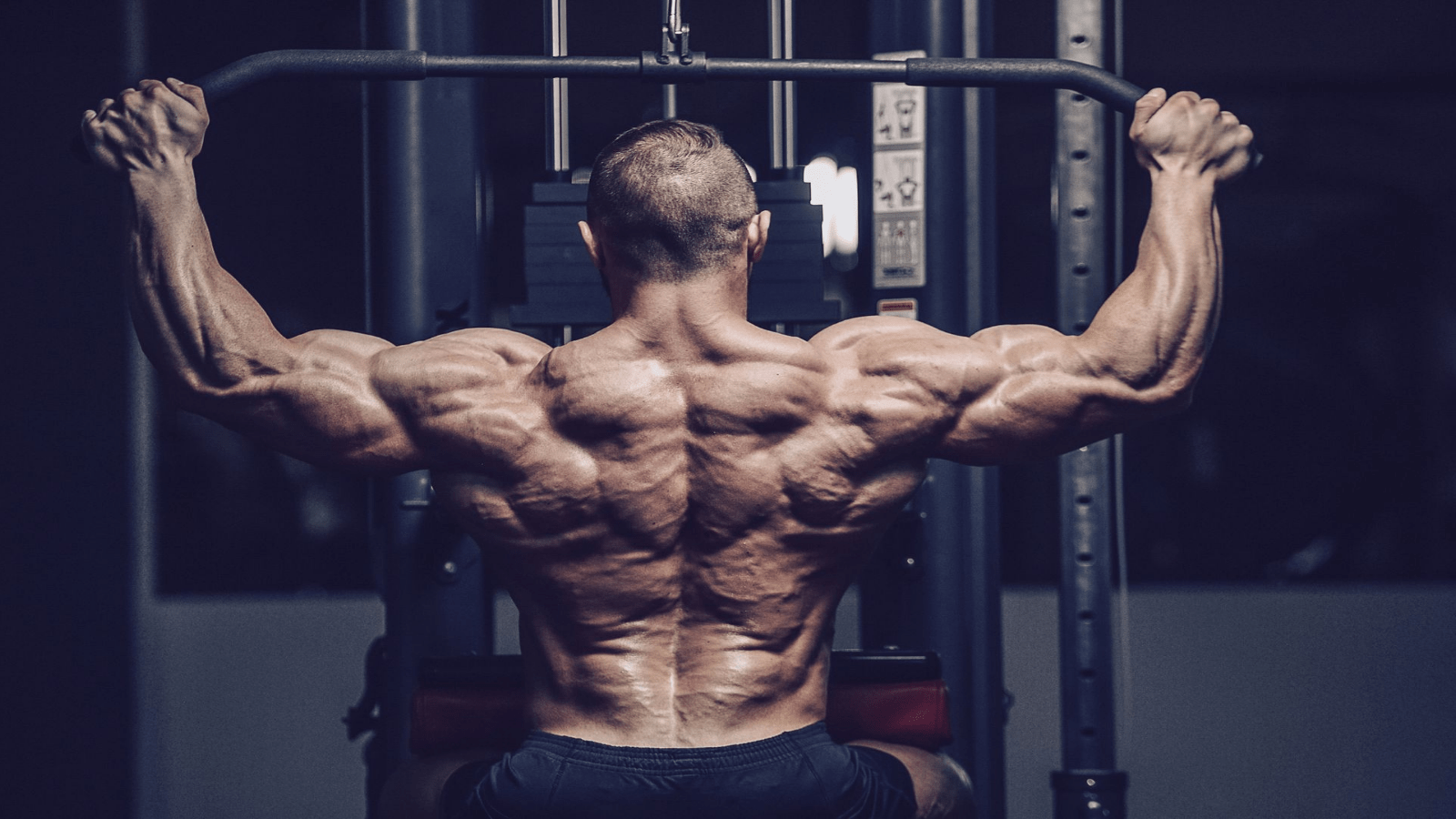 4 Must-Have Whey Protein Supplements for Bodybuilders in 2025